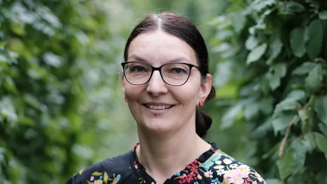 Team – DiP Sachsen-Anhalt